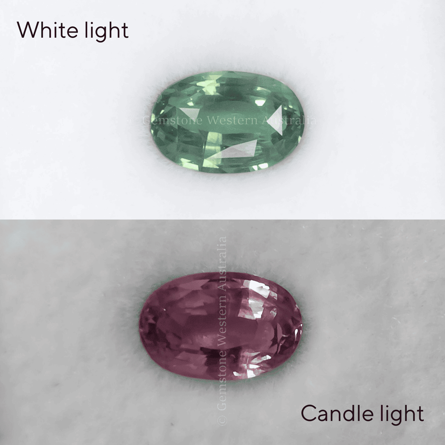 1.04CT NATURAL ALEXANDRITE - OVAL CUT – Gemstone Western Australia